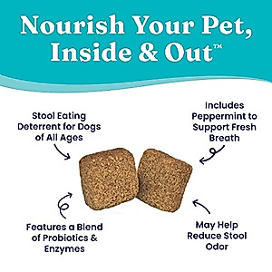 Solid Gold Stop Eating Poop Soft Chews for Dogs with Coprophagia - Natural Holistic Deterrent for Dogs Eating Poop - Grain Free Supplement Chews & Powder with Peppermint & Parsley Oil - 60 Count