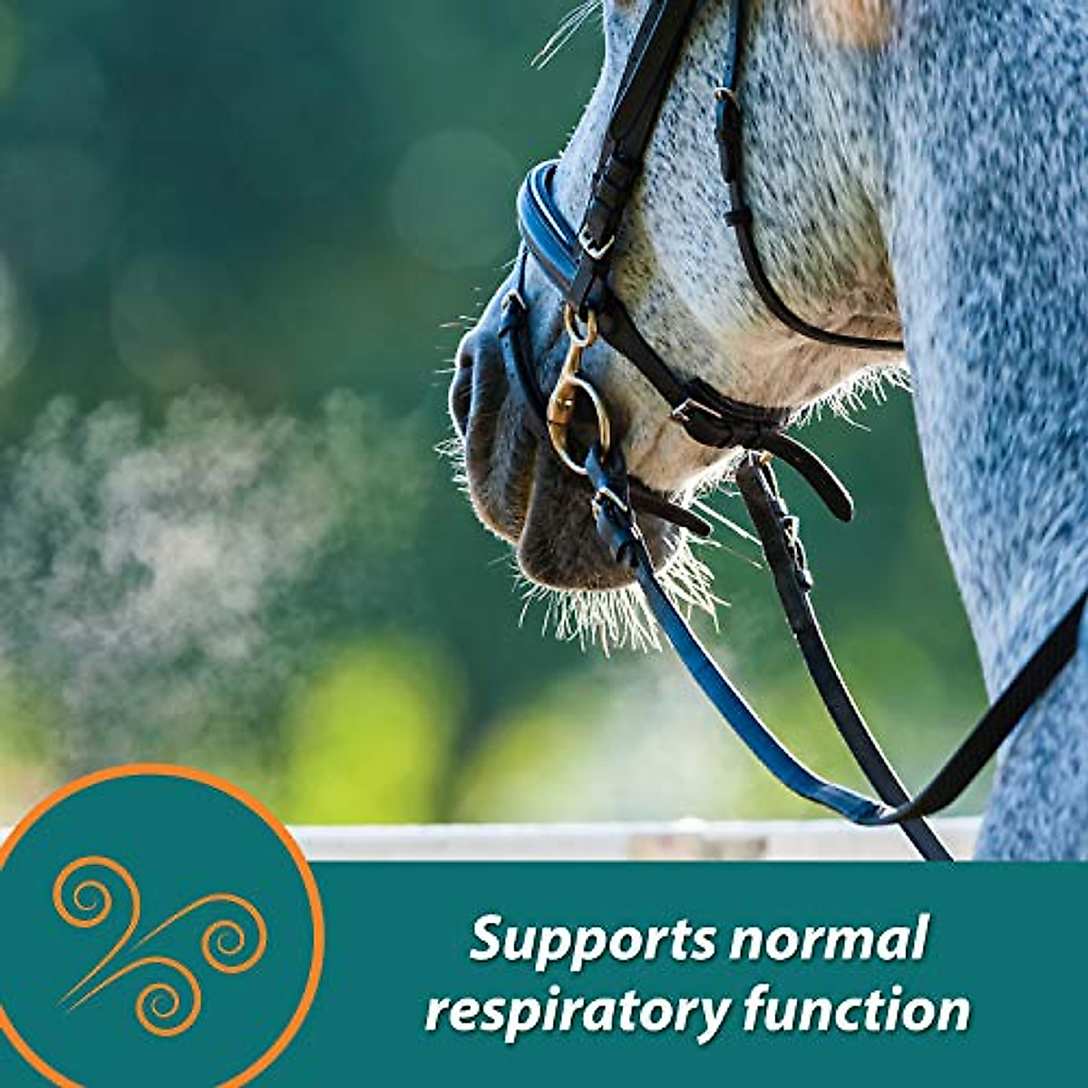 Farnam Cough Free Horse Cough Supplement Pellets, Provides Respiratory Support for Horses with Seasonal Allergies or Stable Cough, 2.5 pounds, 70 Day Supply