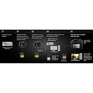 Panasonic DMW-SFU1-VLOG Lumix V-Log L Function Firmware Upgrade Kit, USA Model Version,Black