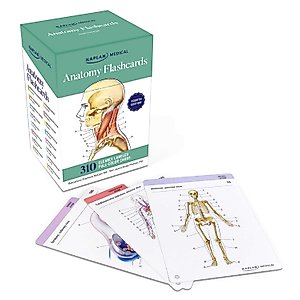 Anatomy Flashcards: 300 Flashcards with Anatomically Precise Drawings and Exhaustive Descriptions + 10 Customizable Bonus Cards and Sorting Ring for Custom Study