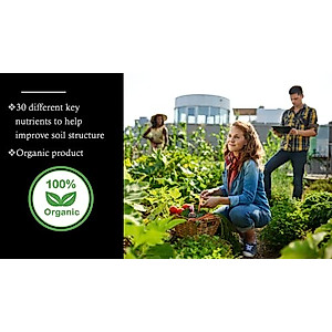 Greensand All-Purpose Organic Fertilizer 10lbs. by Old Cobblers Farm