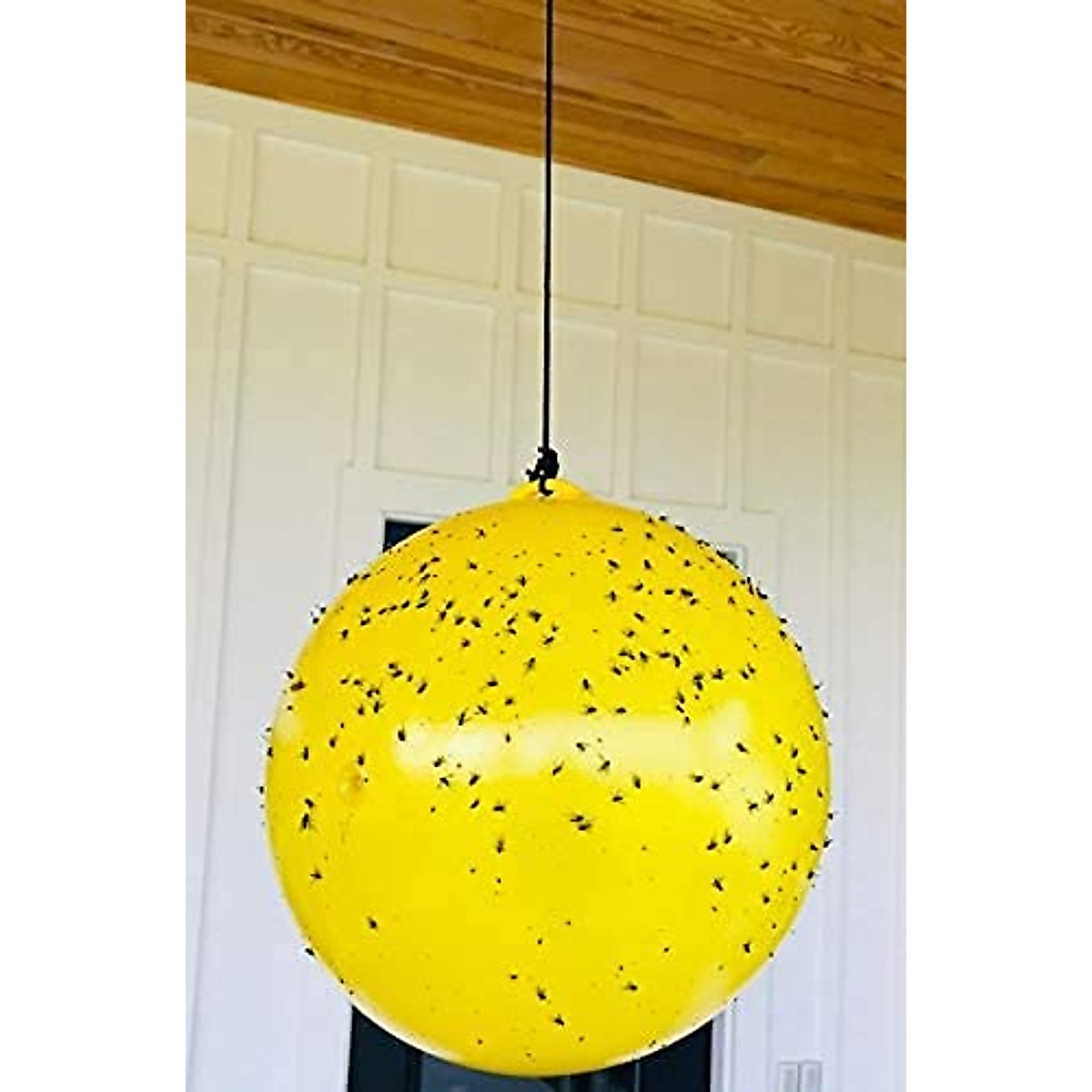 Gnat Ball - 4 Pack Replacement - Gnats, House Fly, No-See-Um, aphids whiteflies, and Love Bug Trap