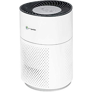 Germ Guardian True HEPA Filter Air Purifier with FLT4200 Genuine True HEPA Air Purifier Replacement Filter L for GermGuardian AC4200W