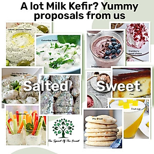 1 SET Milk Kefir Grains Set Starter Culture, Fresh Live Active Probiotic Start your own Kefir Culture at Home, Bulgaros de Leche, Pajaritos, Homemade Kefir Milk