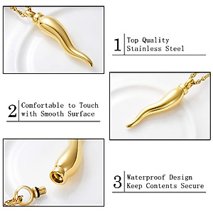 Cremation Jewelry Italian Horn Urn Necklaces for Ashes for Women Men Memorial Keepsake Necklace for Human Pet Ashes (Gold)