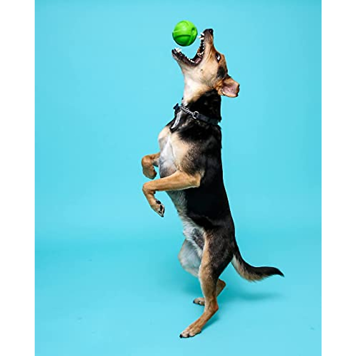 Hartz Dura Play Bacon Scented Squeak Ball Dog Toy for Small Breeds, 3 Pack