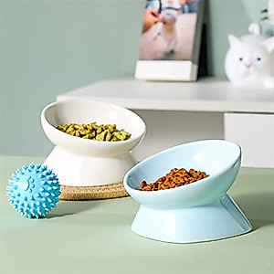 FUUIE Bowls for Food and Water Pet Supplies Tall Slanted Mouth Pet Bowl (Color : Blue)