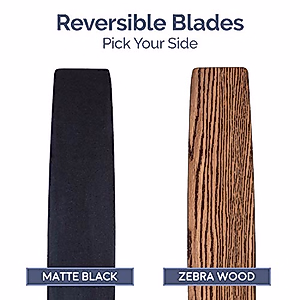 Prominence Home 51461-01 Orbis Ceiling Fan, 52, Matte Black