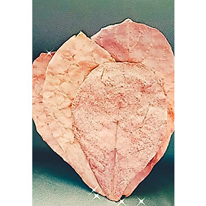 Pufa Great Emperor shop Premium Indian Almond Leaves Medium Catappa for Betta Fish & Shrimps|Best / Shrimp |Indian Almonds Naturally sourced Help Boost immunity 65g.