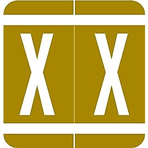 AMZfiling Alpha Labels on 3-Ring Binder Sheets- Letter X, Gold, GBS/VRE Compatible (Polylaminated, 200/Package)