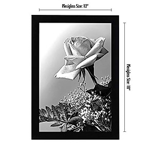 Americanflat 12x18 Poster Frame in Black - Composite Wood with Polished Plexiglass - Horizontal and Vertical Formats for Wall with Included Hanging Hardware