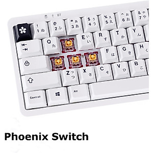 GK GAMAKAY Silent Linear Mechanical Keyboard Switch, 35Pcs/Pack GamaKay Phoenix Switch 3 Pin Pre-lubed Switches for LK67 TK75 CK68 DIY Mechanical Gaming Keyboard (Phoenix Switch)