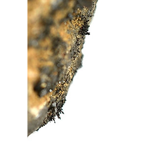 Lodestone Specimen, Approx. 1" (3cm)