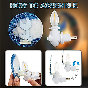 Hortsun Plug in Seashell Night Light Ocean Sea Animal Decorative Night Light Plug in Beach Nightlight Vintage Ocean Night Lamps for Adult for Home Bedroom Living Room Bathroom Wall(Dolphin)