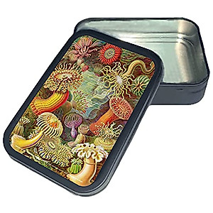 Stash Tins - Mushrooms Storage Container 4.37" L x 3.5" W x 1" H