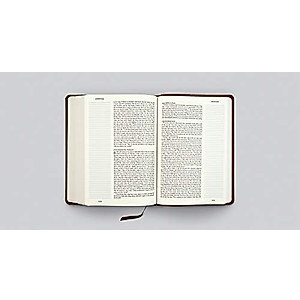 ESV Single Column Journaling Bible, Large Print (Bonded Leather, Mocha)