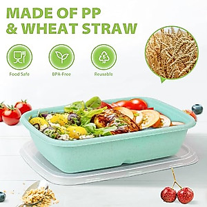 Freshmage® 33OZ Meal Prep Container Reusable,Multicolor 10 Pack Thicker Lunch Prep Food Storage Containers with Lids for Adult On-the-Go Meals,BPA-Free & Microwave Safe