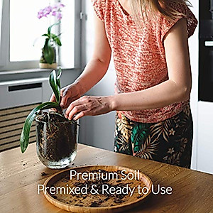 Orchid Soil Premium All Purpose Blend | Large 2.2 Quarts | Ready to Use for Orchids, Bromeliads, Epiphytic Plants | Lava, Calcined Clay and Pinebark | Made in USA