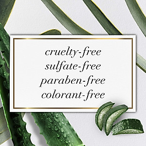 Herbal Essences Bio: Renew Coconut Milk & Aloe Hydrating Hair Mask for Dry Damaged Hair, 8 Fl Oz, 6.374 Fl Oz