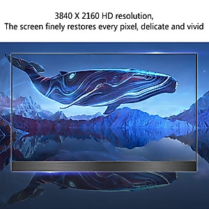 DFZ Portable Monitor, 11.6 Inch Monitor Ultra HD 1920 × 1080 IPS Screen Small Monitor with HDMI Input, Built-in Speakers