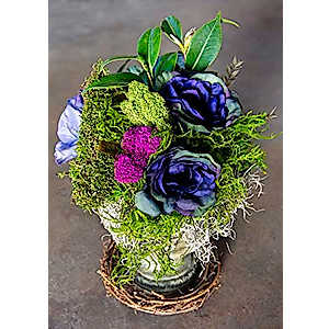 SuperMoss 7 59834 23310 7 B00I6AKFI8, 80.75 in3 Bag (Appx. 2oz), 0