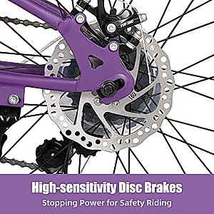 JOYSTAR 20 Inch Girls Moutain Bike for Kids Ages 7-12 Year Old Shimano 7-Speed and Dual Disc Brake 20 Inch Fat Tire Kids Bike Girl Bicycle Purple