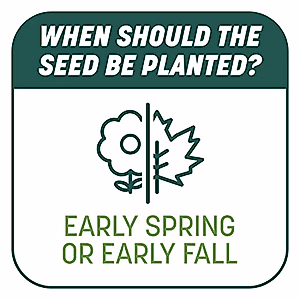 Pennington Smart Patch Sun and Shade Mix 10 lb