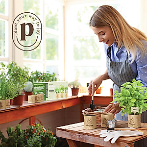 9 Herb Indoor Window Garden Kit - House Plants Seeds - Best Unique Easter Gift Ideas for Women, Mom, Friend, Her, Birthday, Housewarming, Mother - New Home Kitchen Gifts - Live Plant Starter