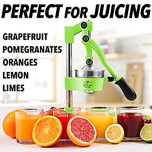 Zulay Kitchen Cast-Iron Orange Juice Squeezer - Heavy-Duty, Easy-to-Clean, Professional Citrus Juicer - Durable Stainless Steel Lemon Squeezer - Manual Citrus Press & Orange Squeezer (Light Green)