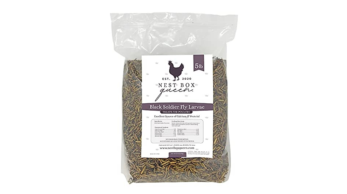 Nest Box Queen Black Soldier Fly Larvae for Hens