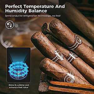 300 Count Electric Cooler, Spanish Cedar Wood Shelf Built in Humidity Control System Cooling Function Black (50L)