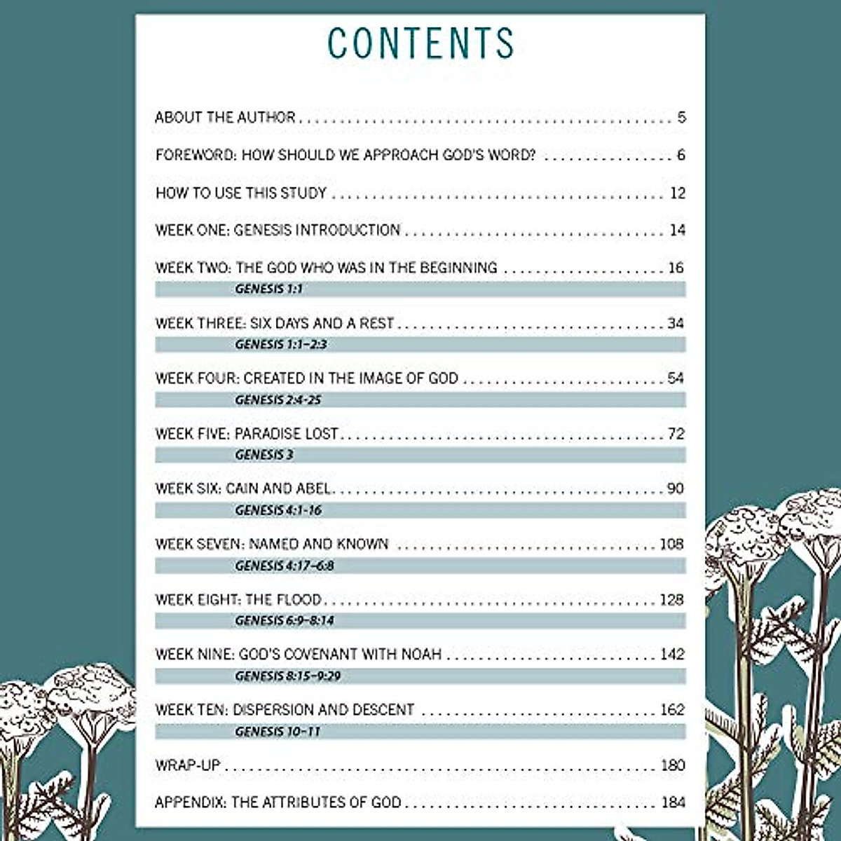 God of Creation - Bible Study Book: A Study of Genesis 1-11