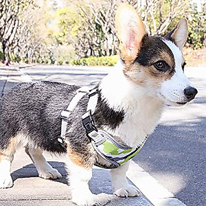 Adjustable Pet Harness Breathable Dog Chest Straps Vest Type Pet Chest Back Reflective No- Pull Dog Harness for Pet (Green, Size M) Dog Costumes Dog Clothes