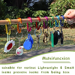 Nanaborn Mini Aluminum Carabiner Lightweight D-Shape Spring Clips (10PCS) for Keychain Climbing Fishing, Hiking Outdoor (10pcs)