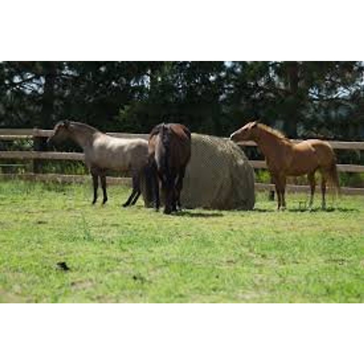 Hay Chix Large Bale 1 3/4 6x6 Hay net L134X6