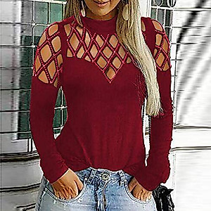 Wulofs Women's Long Sleeves Slim Fit T-Shirt See-Through Mesh Tops Casual Blouse Hollow Tunics Wine