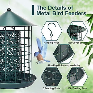 Gaprass Squirrel Proof Bird Feeders, Metal Bird Feeders for Outdoors Hanging, Bird Feeder for 360°Feeding Area for Wild Birds, Chew Proof & Rust Proof, 4lbs Capacity - Green