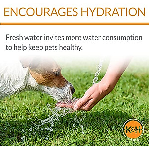 K&H Pet Products CleanFlow Filtered Water Bowl for Medium and Large Dogs, Pet Drinking Water Fountain, Dog Water Dispenser, Granite Medium 1.4 Gallon & 1 Gallon Reservoir