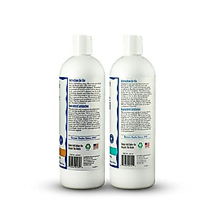 Earthbath Oatmeal & Aloe Shampoo & Conditioner Pet Grooming Set - Itchy, Dry Skin Relief, Made in USA - Fragrance Free, 16 oz