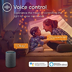 TALOYA Smart Ceiling Light Flush Mount LED WiFi, Compatible with Alexa Google Home, Dimmable Low Profile Ambient Light Fixture for Bedroom Living Room,12 Inch 24W