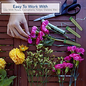 Royal Imports Floral Water Tubes/Vials for Flower Arrangements, Clear - 3" (1/2" Opening) - Standard - 25/Pack - w/Caps