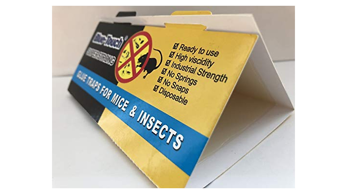 Blue-Touch Mouse Glue Traps - Effective Pest Control