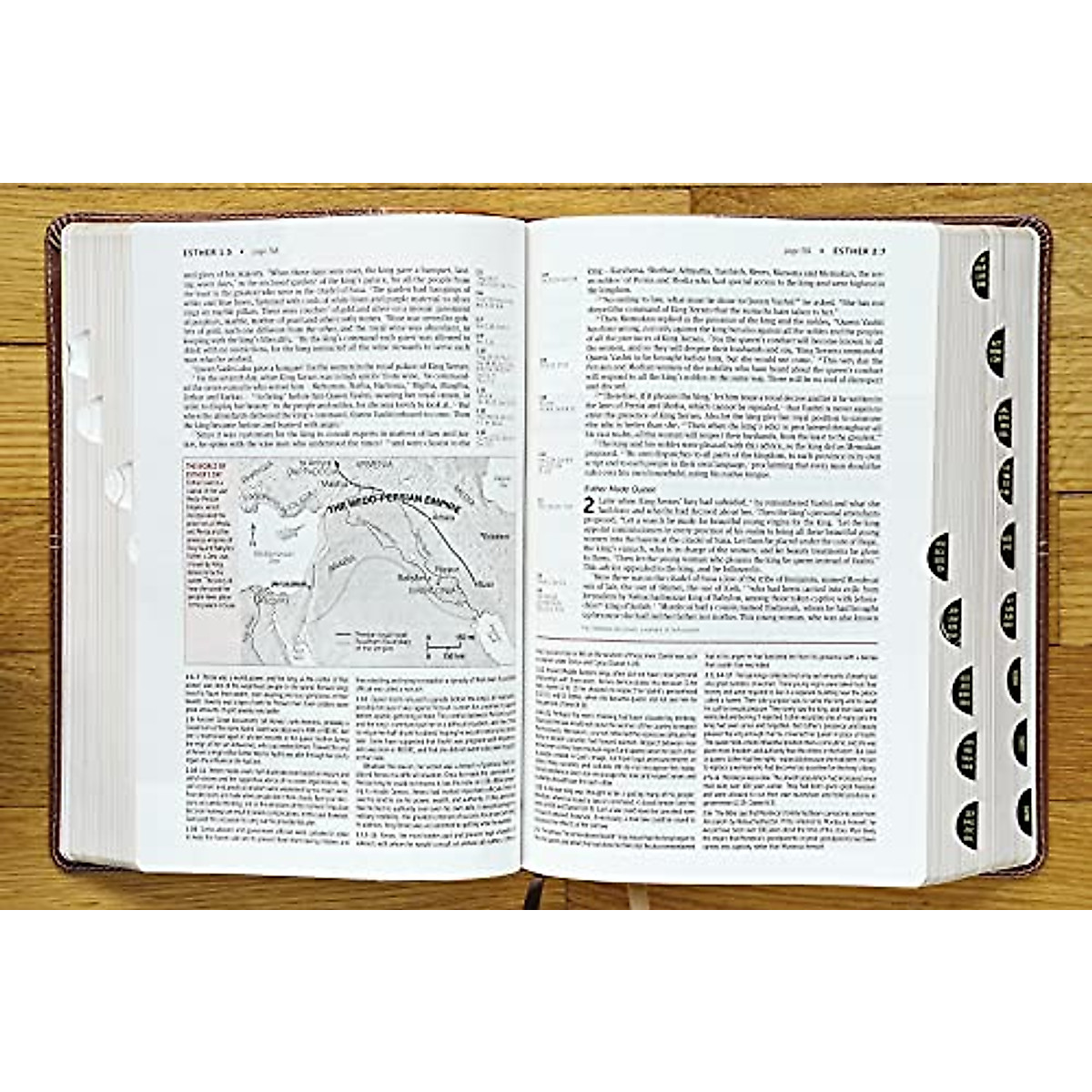 NIV, Life Application Study Bible, Third Edition, Leathersoft, Brown, Red Letter, Thumb Indexed