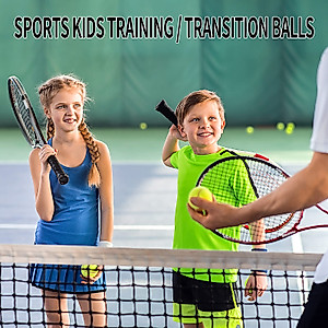 GKK Tennis Balls, 12 Pack Durable Pressurized Yellow Felt, High Bounce Practice Balls for Training, Beginners, Dogs, Ideal Gift