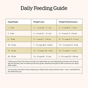 Now Fresh Grain-Free, Dry Dog Food, Small Breed Kibble, Real Meat and Fish, Turkey, Salmon and Duck Adult Recipe, 6 lb Bag