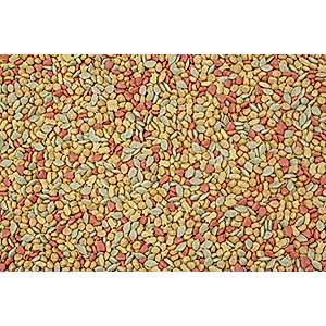 Higgins 2 Pack of Intune Complete and Balanced Diet Conure and Cockatiel Food, 2 Pounds Each