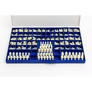 Polycarbonate Temporary Dental Crowns Kit 360 pcs with Crown Mold Guides