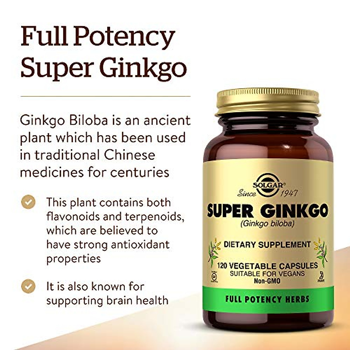 Solgar Super Ginkgo, 120 Vegetable Capsules - Full Potency (FP) - Antioxidant & Nervous System Support - Brain Health - Non-GMO, Vegan, Gluten Free, Dairy Free, Kosher - 120 Servings