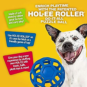 JW Pet Hol-ee Roller Dog Toy Puzzle Ball, Natural Rubber, Small (3 Inch Diameter), Colors May Vary