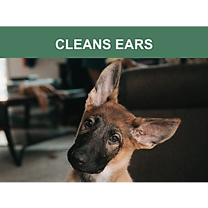 Mr. Peanut's Naturals 100% Plant Based, Unscented Pet Wipes, 160 Count, Larger 8x6" Size